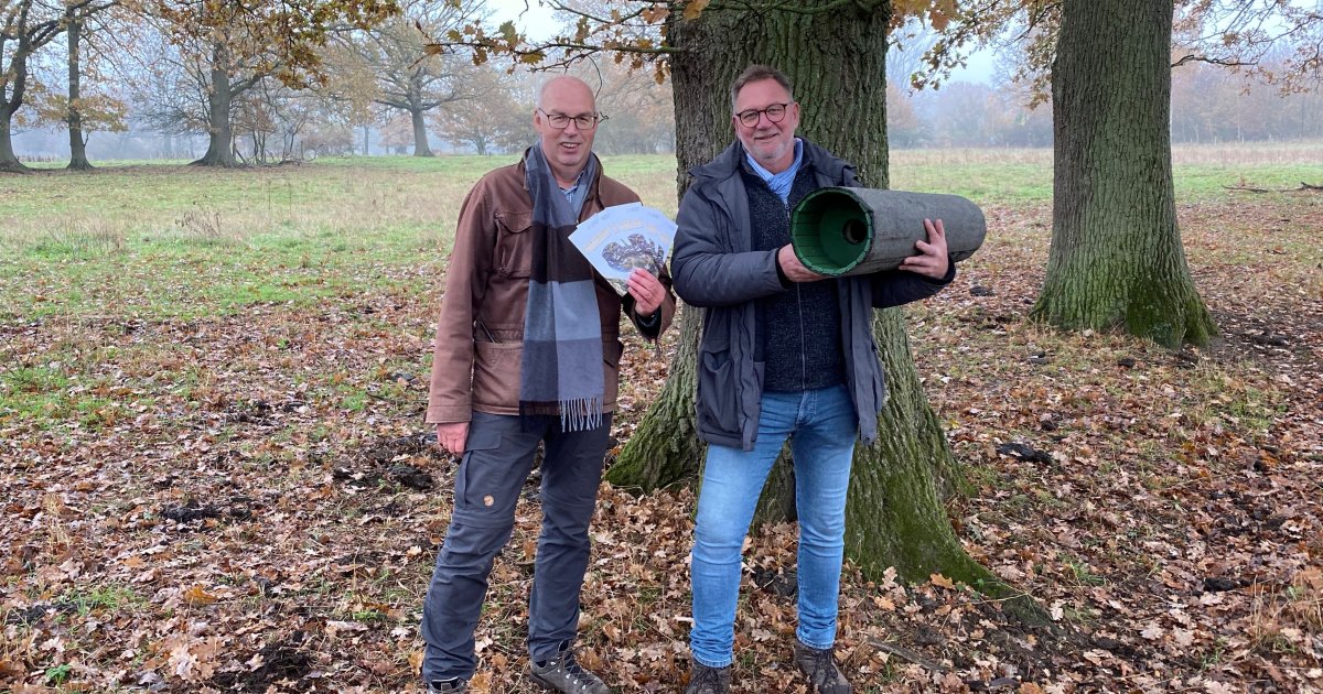 „KAUZIG & BELIEBT!“ – Niströhren für den Steinkauz | Stadt Emsdetten